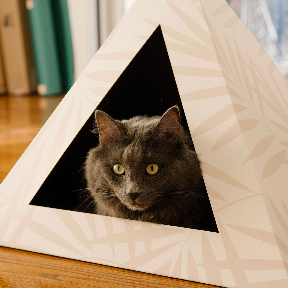 'Neutral Palm' Cardboard Cat Pyramid – KittyKardboard